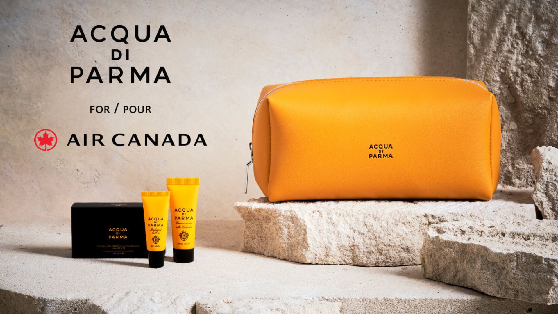 Luxury Premium Economy Class Cabin Kits: Top Airlines' In-Flight ...