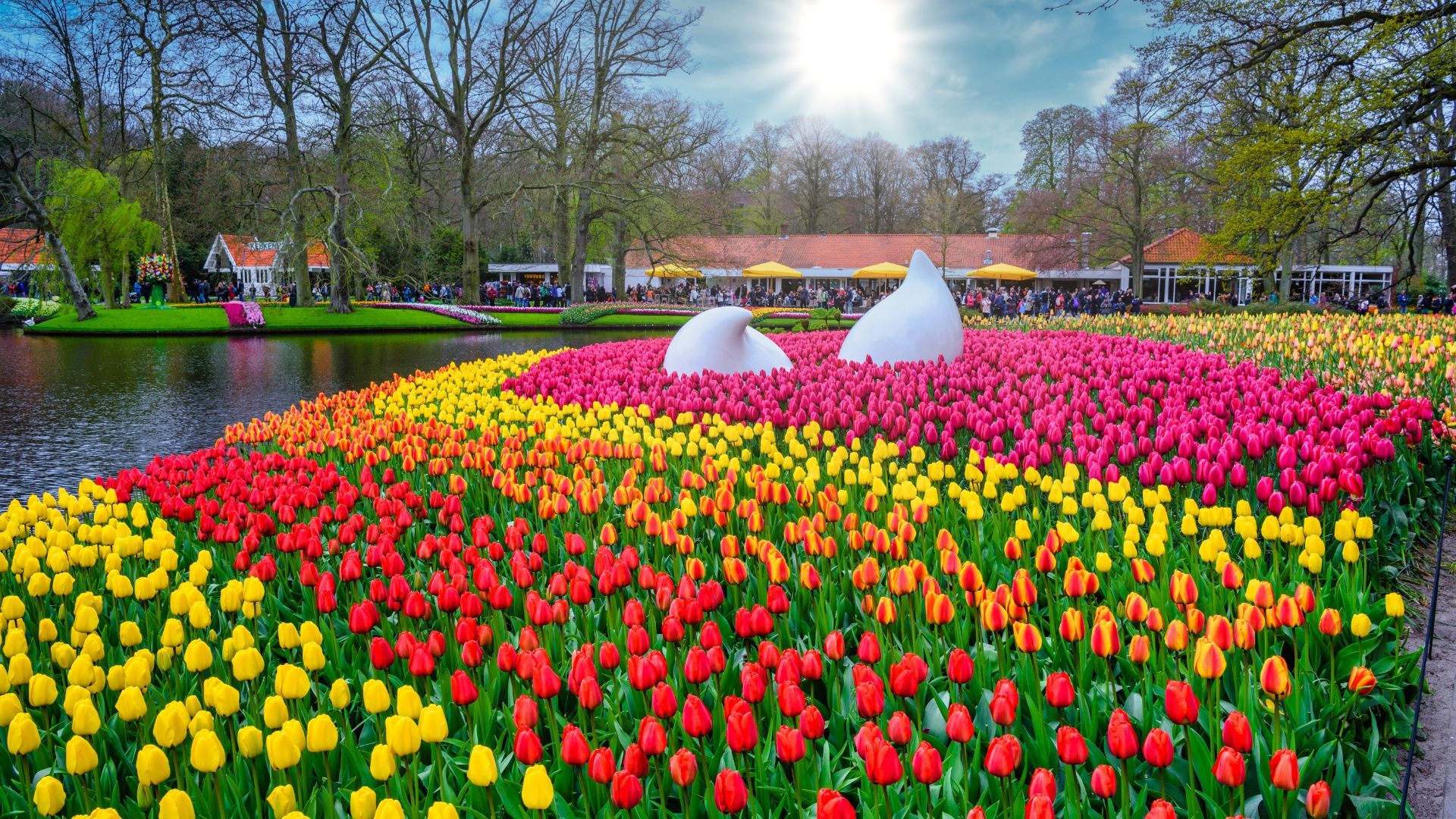 These Are The Most Beautiful Places To Visit In The Netherlands
