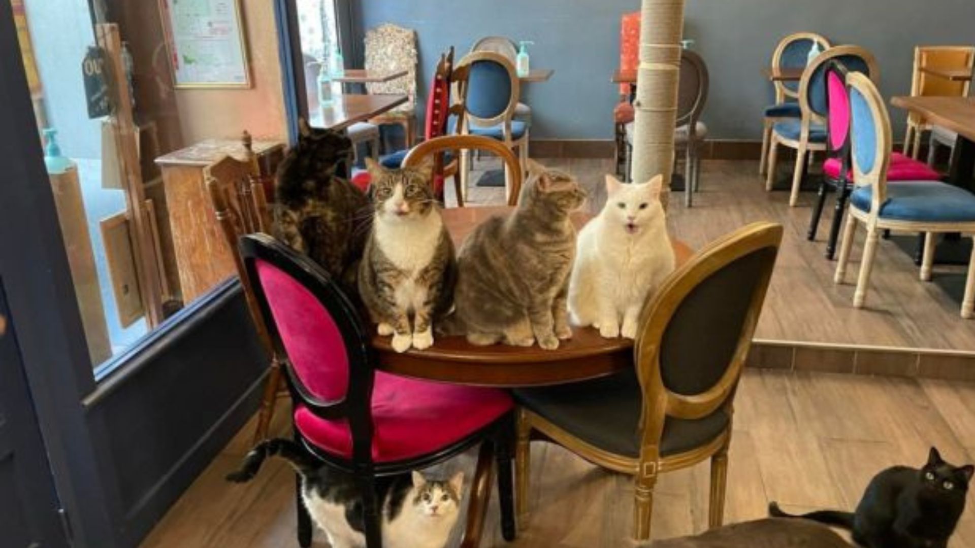 Interesting Cafes And Restaurants Around The World