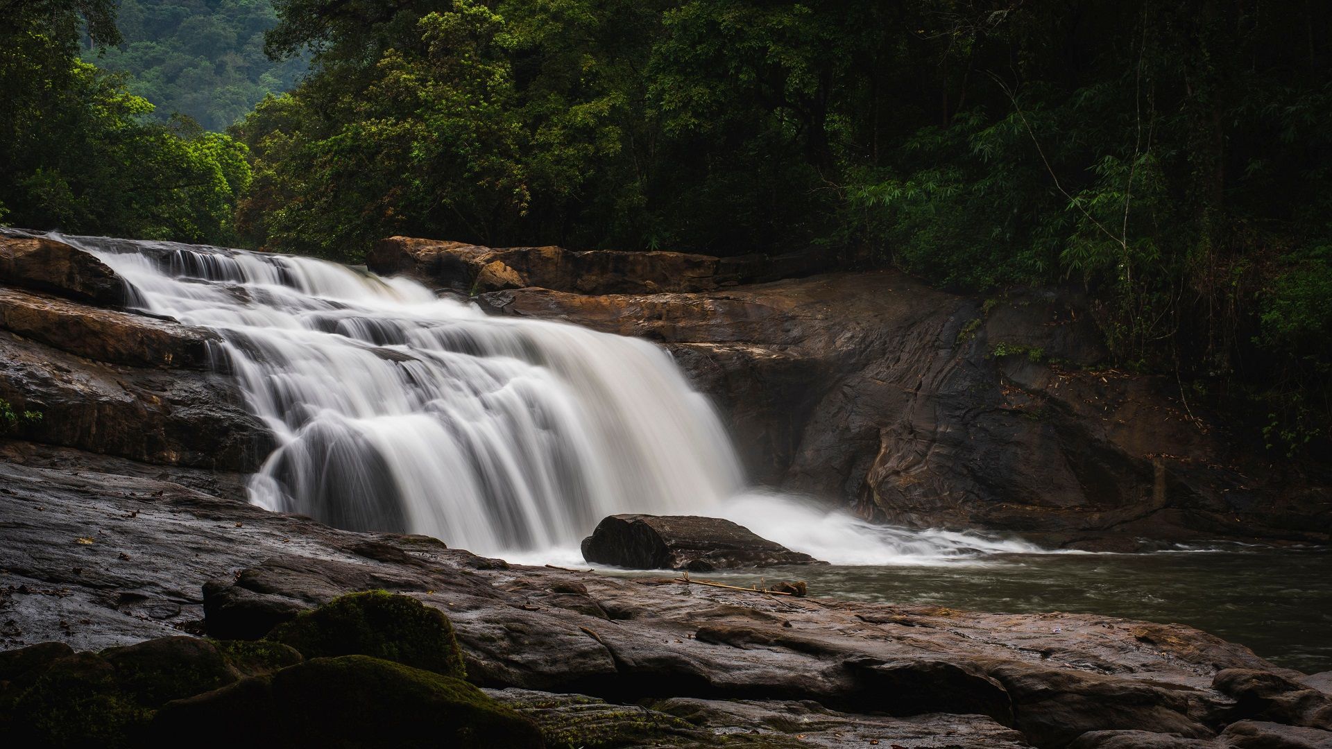 Most Beautiful Waterfalls In Munnar Idukki For A Summer Getaway 2024