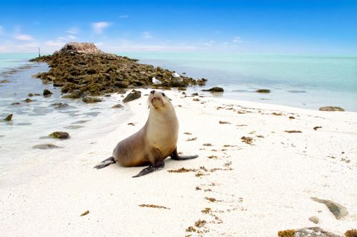 A Houtman Abrolhos Cruise through Australia’s Galapagos Islands