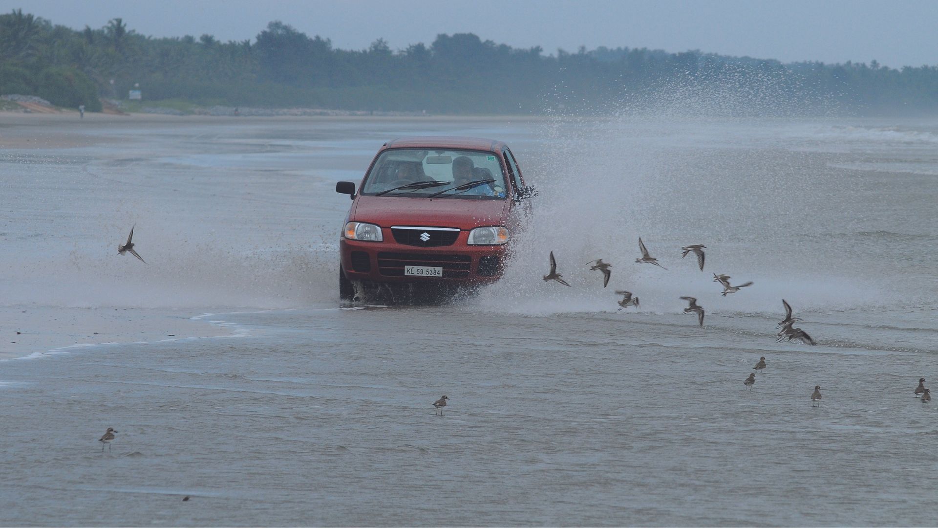 Beaches In Kerala: Explore The Stunning Coastline In God's Own Country