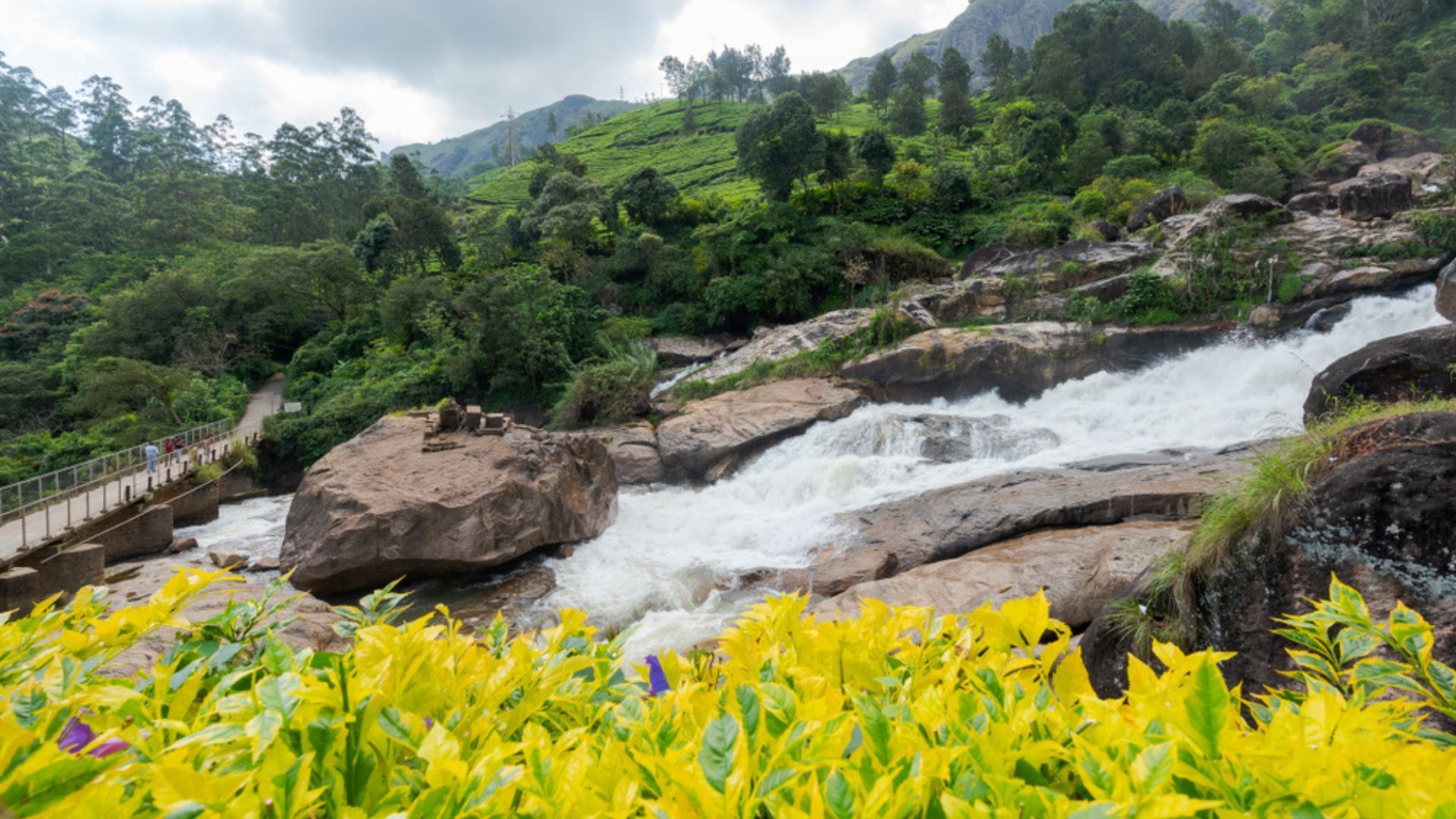 Best Places To Visit In India During Monsoon 2024 To Enjoy The Rainy Season