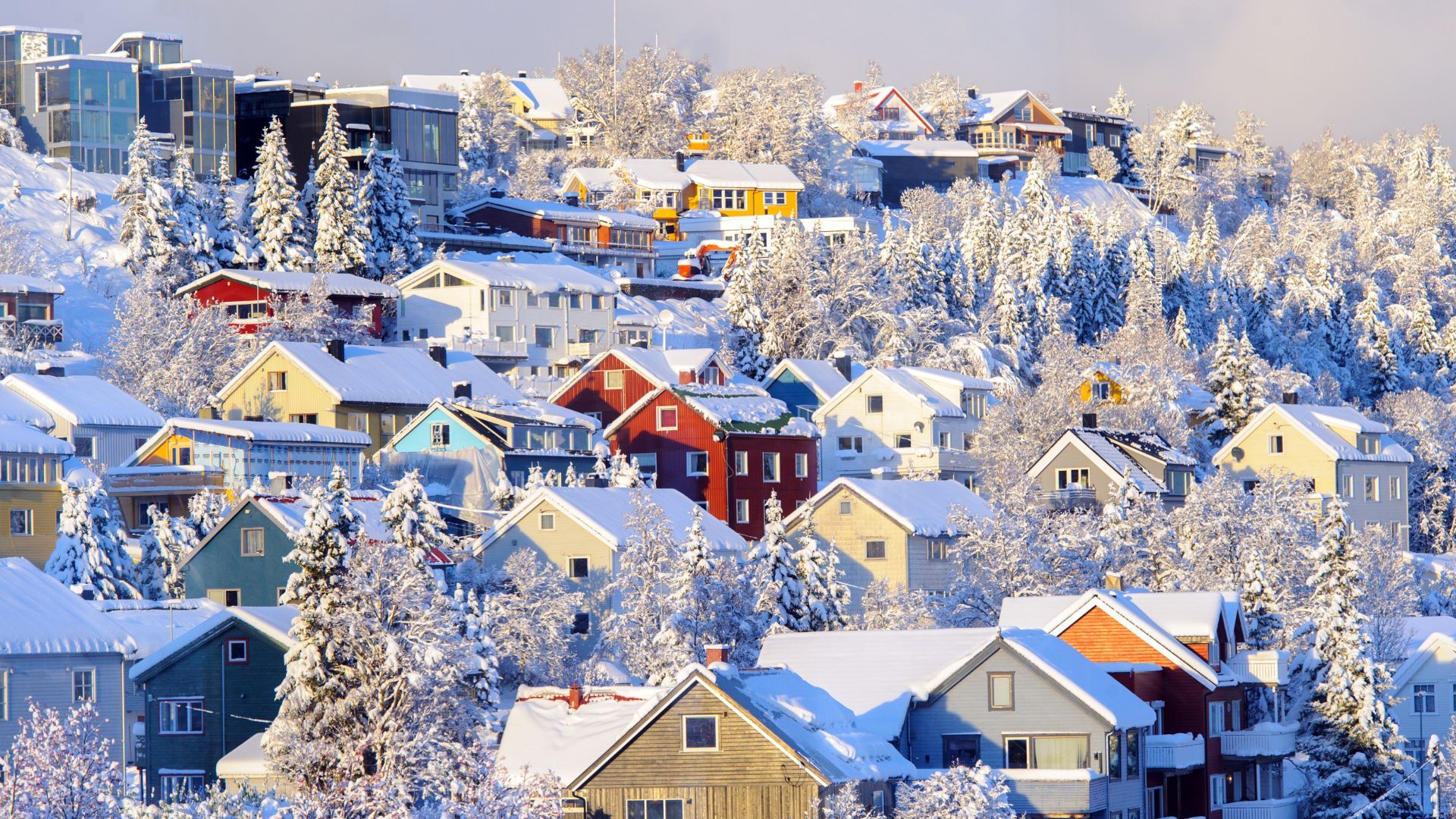 Ultimate Guide To Explore The Best Of Summer In Tromso, Norway In Jul 2024