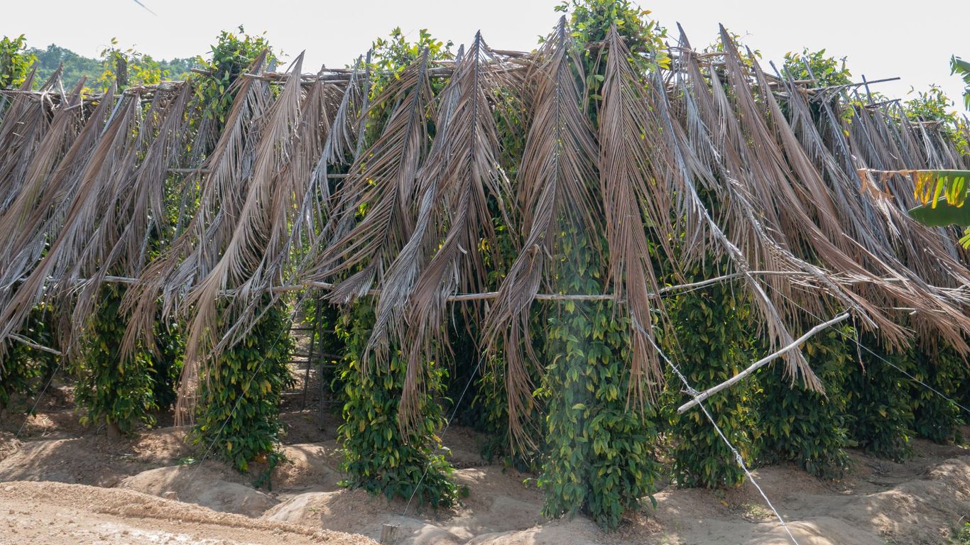 Cambodia Itinerary: 10 Days Plan To Explore The Best Of 'Kingdom Of ...