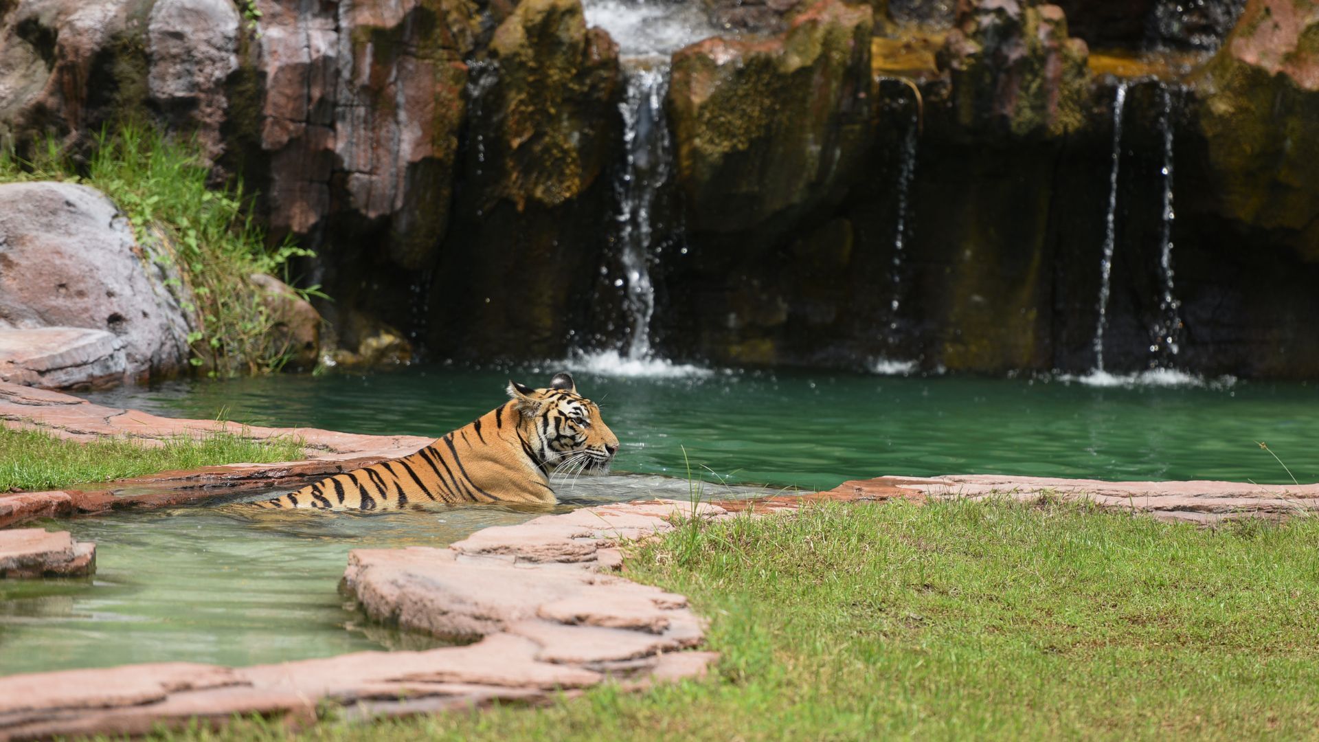 Bali Zoo: Tickets, Attractions And Everything Else You Need To Know