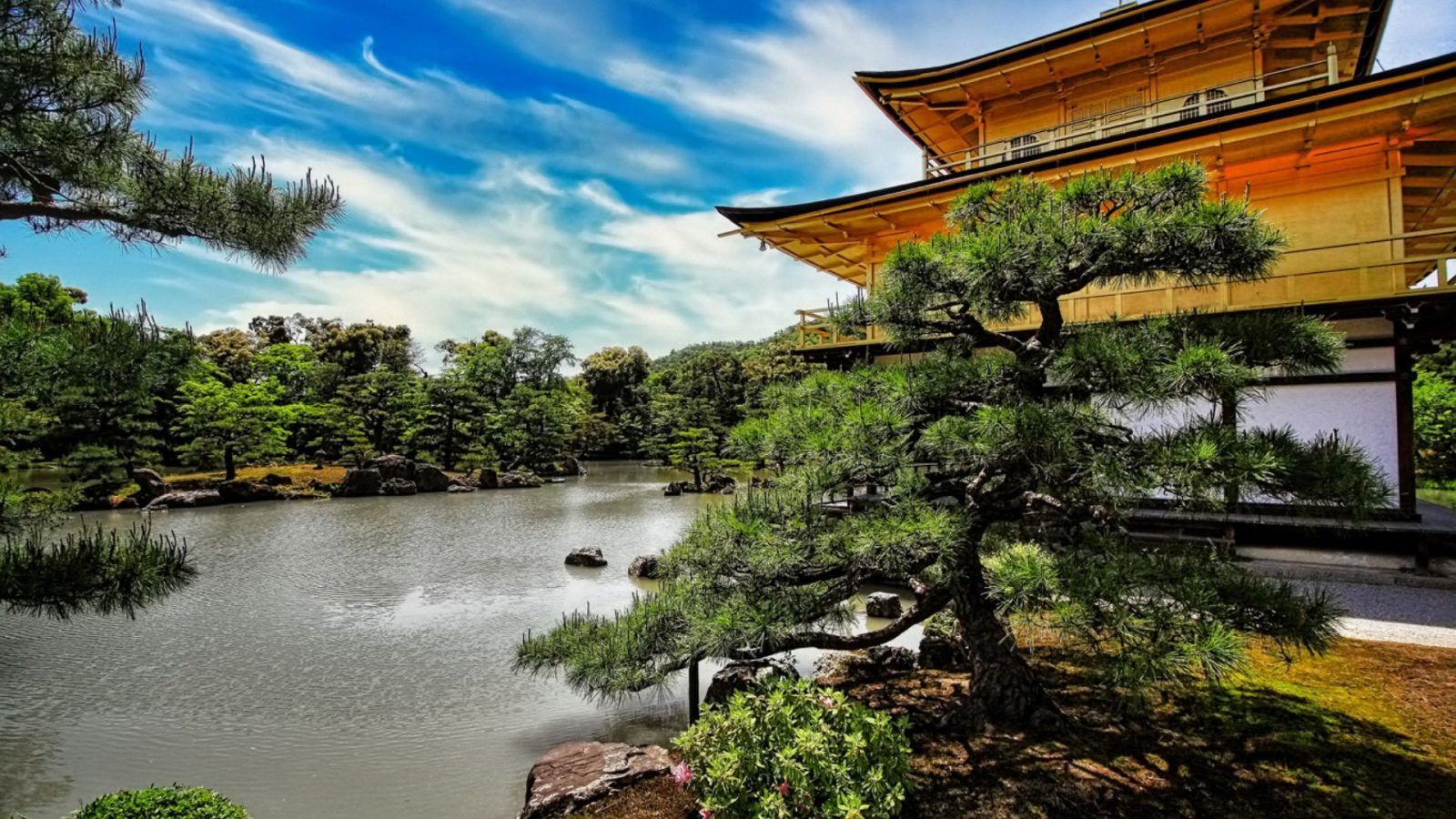 Onsen, Sushi, Sumo & Sake - Most Unique Experiences In Japan 2024