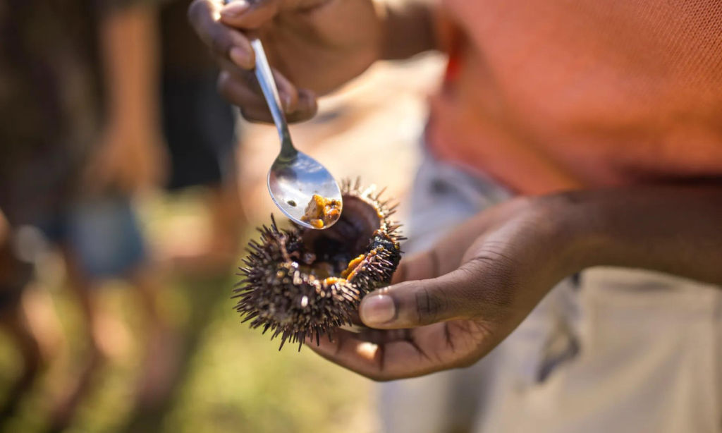 There's Never Been a Better Time to Eat in New Zealand—Here's Why