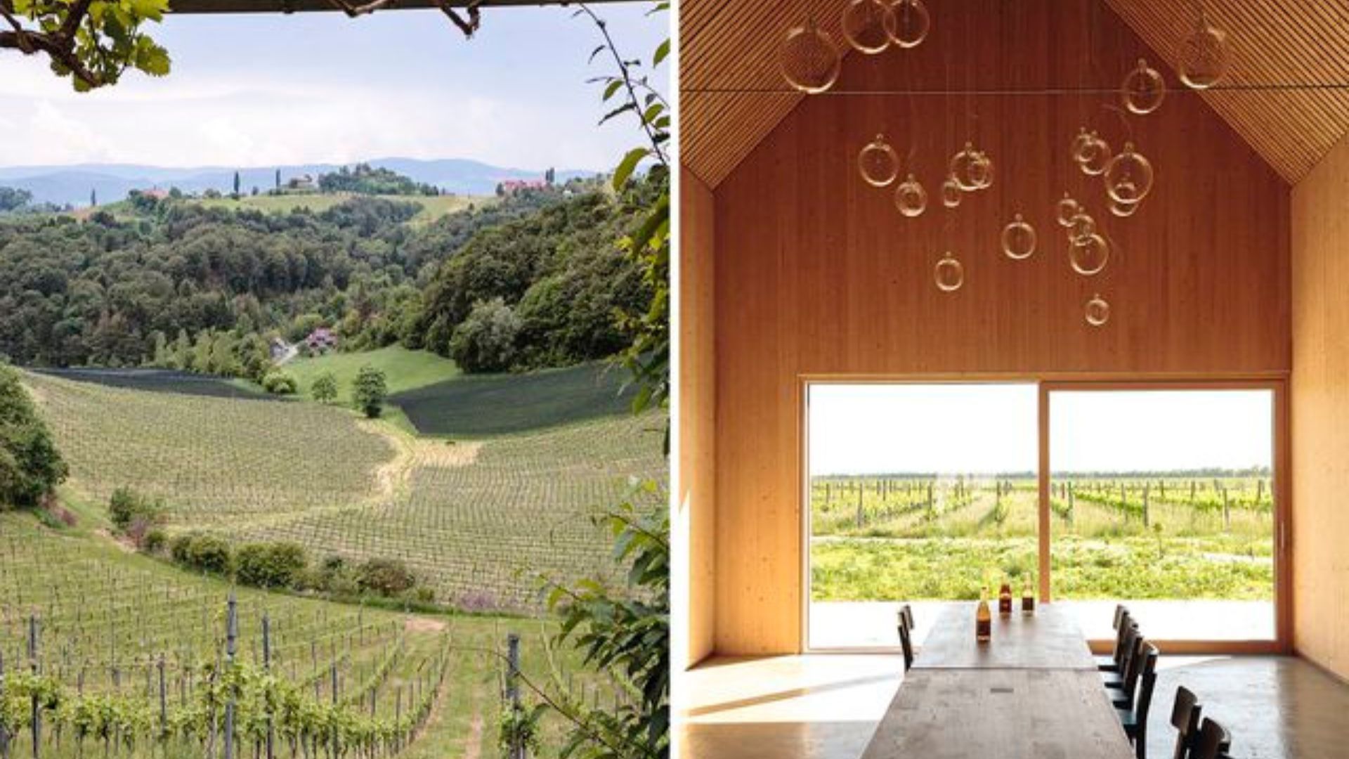 Where To Drink Natural Wine In Austria