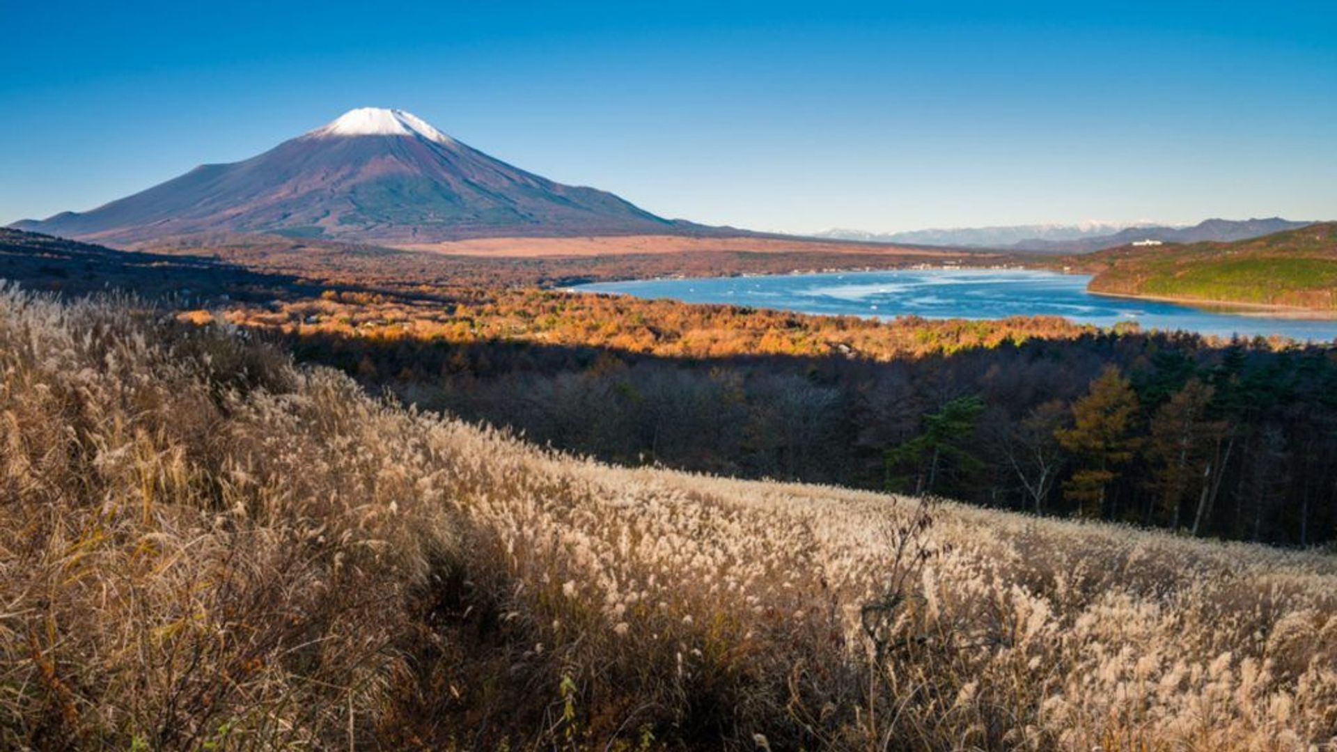 Visit These Best Places To View Iconic Mount Fuji In Japan 2024