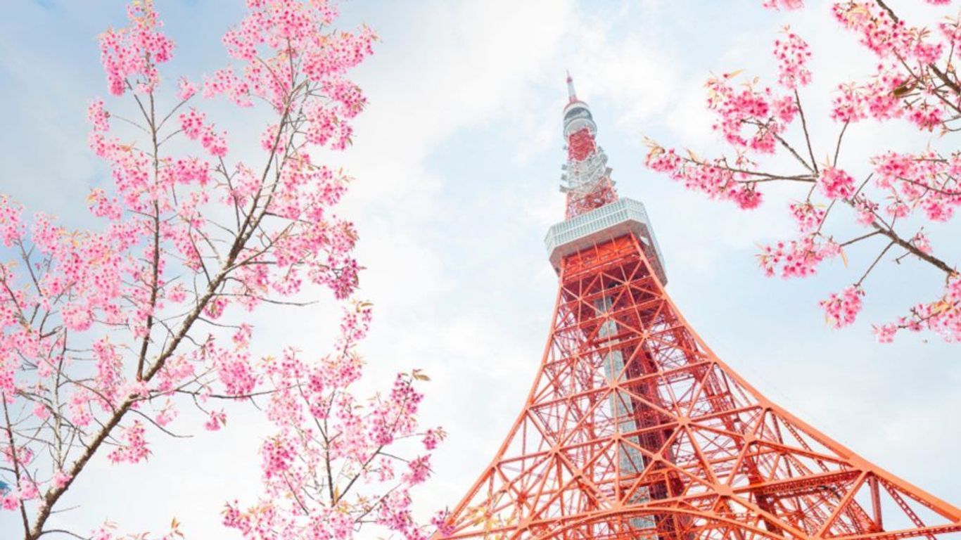 Visit These Best Places To View Iconic Mount Fuji In Japan 2024