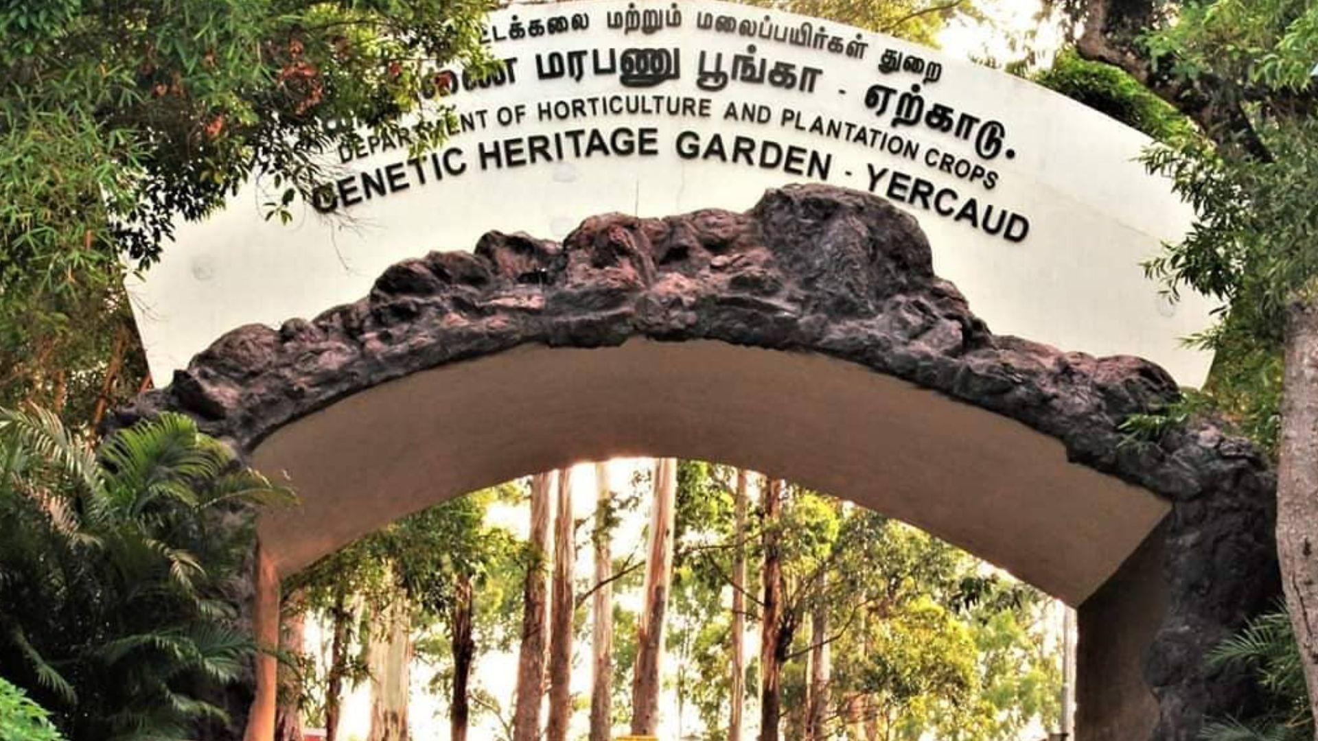 Waterfalls, Hills & Lakes: Top Tourist Places In Yercaud Hill Station ...