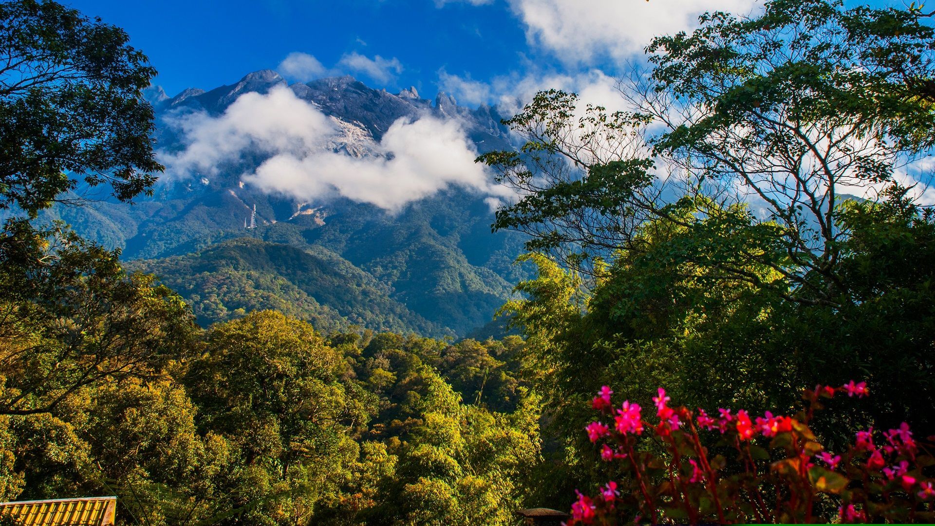 National Parks in Malaysia To Explore The Wildlife & Rainforest Magic 2024