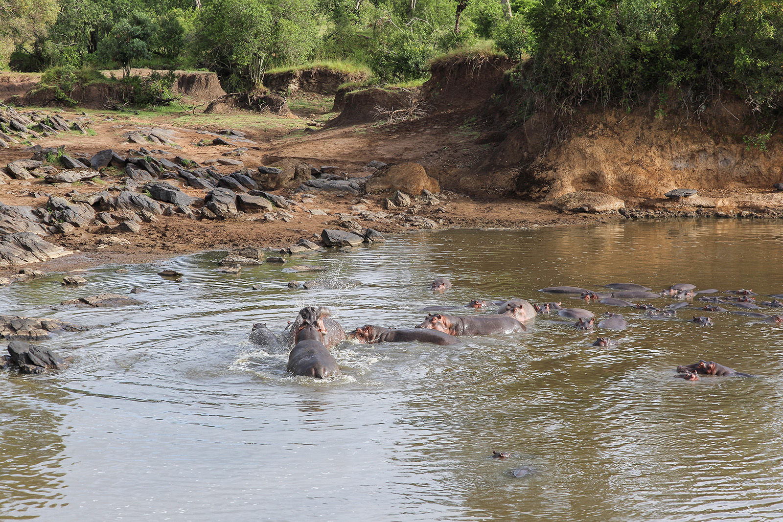 Journey to the Heart: A Maasai Mara Family Safari