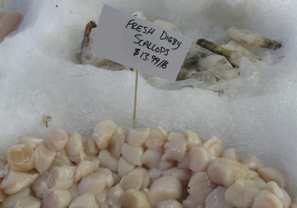 Nova Scotia: Relish World's Freshest Seafood At Canada's East Coast 2024