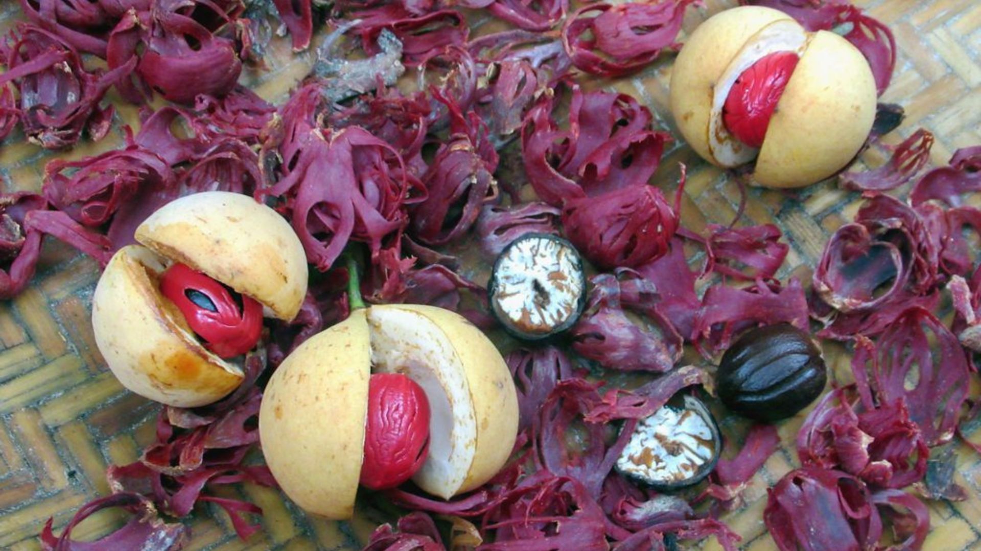 Chettinad Cuisine: Discover The Rich Culinary Heritage Of Tamil Nadu