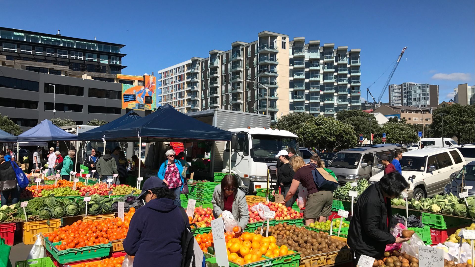 Food, Shopping & Fun: Most Exciting Things To Do In New Zealand - Guide