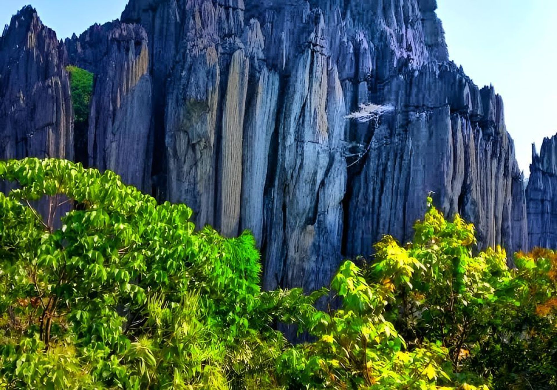 Yana Caves: A Trek Through Legends In Karnataka’s Western Ghats
