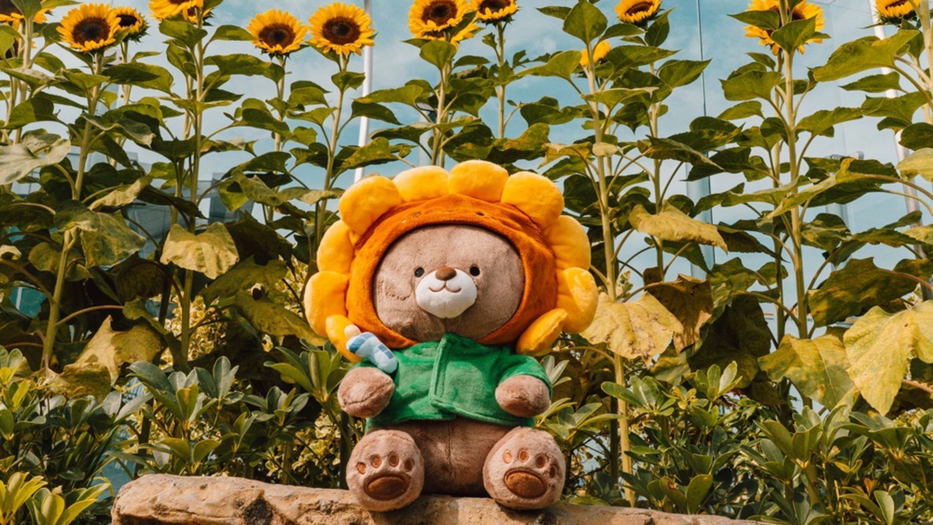Singapore's Changi Airport Delights With ‘A Sunflower Sojourn’ Display