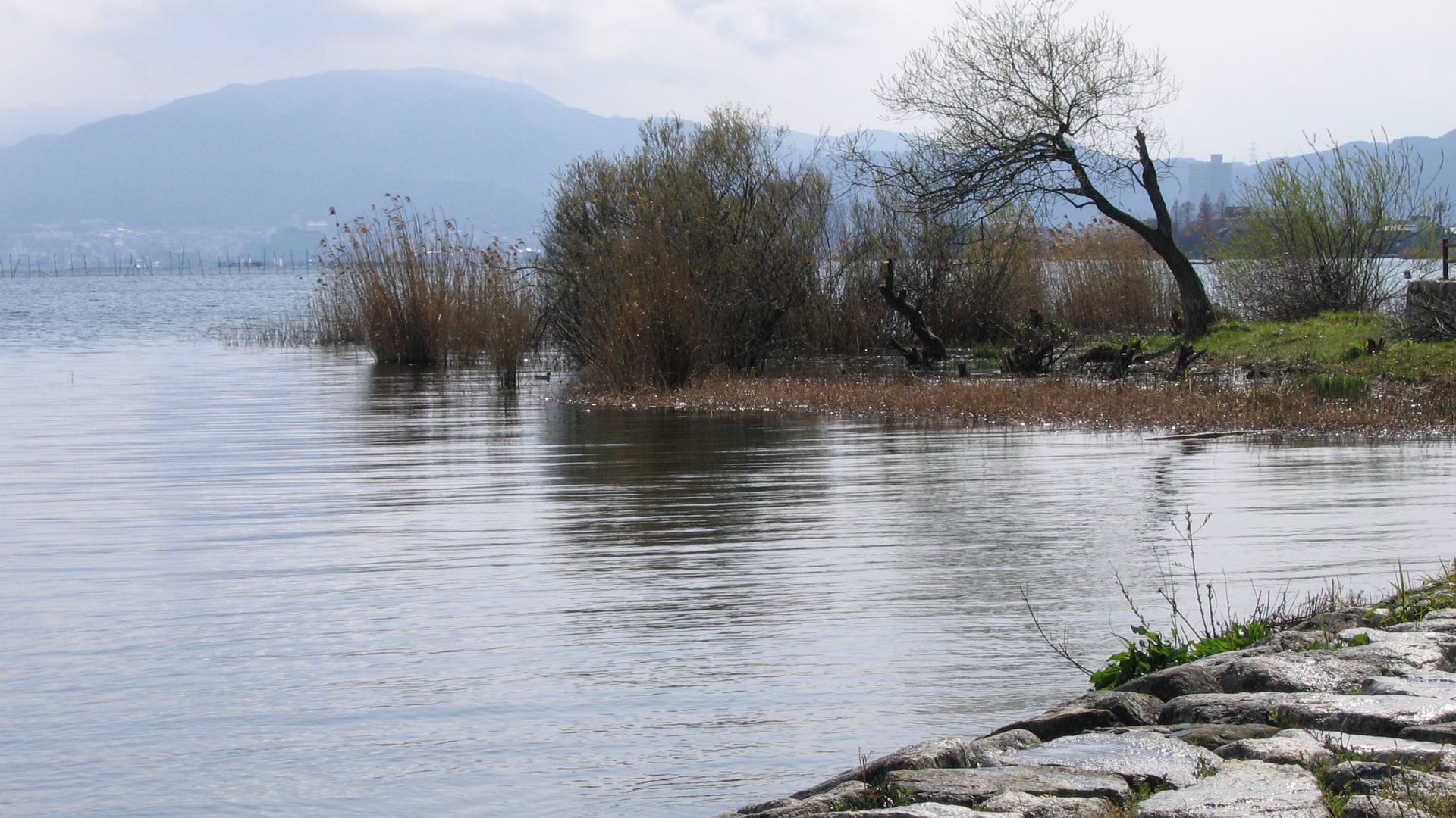 Offbeat Destinations In Japan: Hidden Trails To Savour Authentic Japanese Experiences