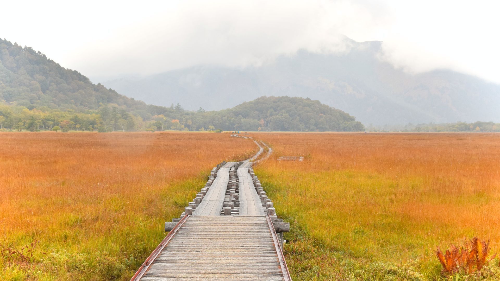 Offbeat Destinations In Japan: Hidden Trails To Savour Authentic Japanese Experiences