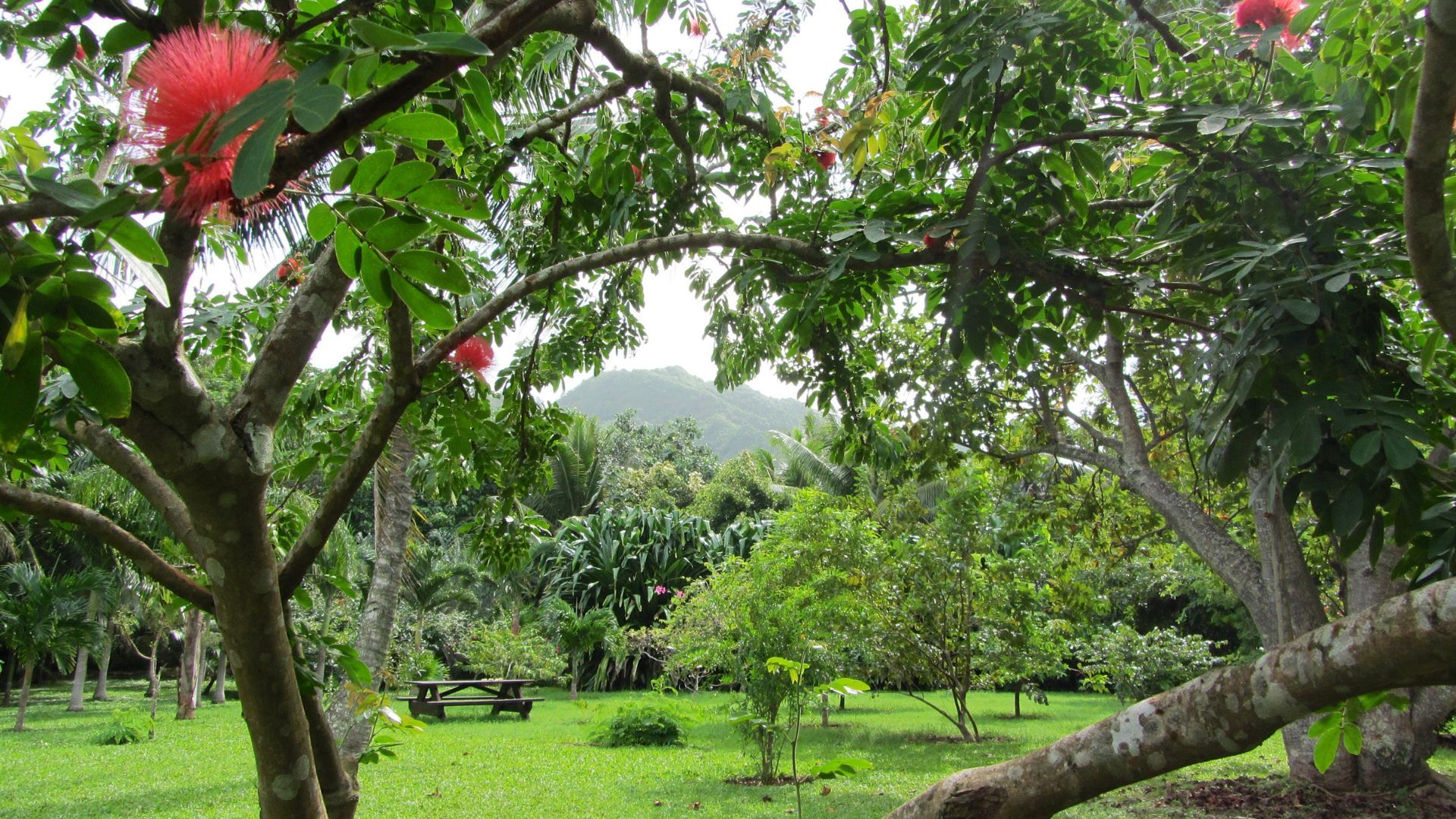 The Cook Islands: A Visa-Free Tropical Paradise Waiting To be Explored