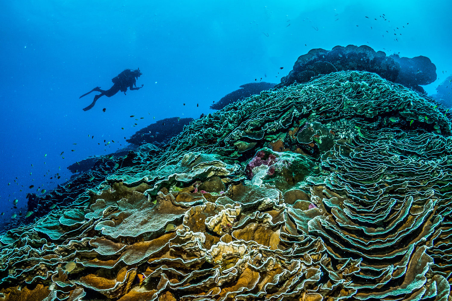 Cocos (Keeling) Islands: Australia’s Actual Hidden Gem