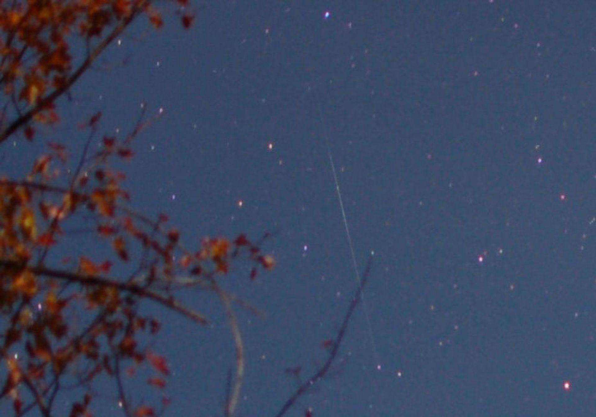 See The Brightest Comet, Supermoon, And More In October's Night Sky
