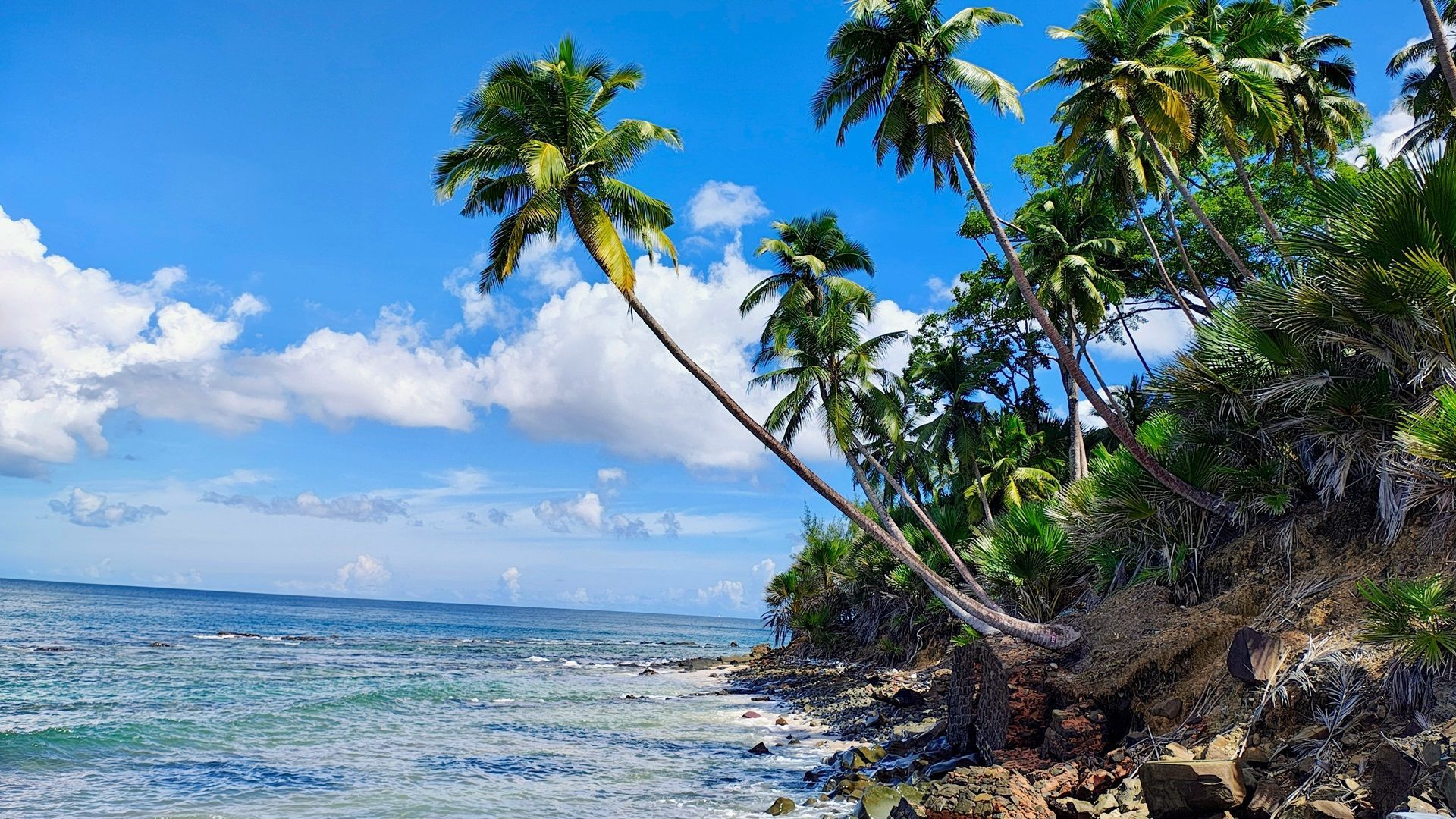 Andaman's Ross Island: Museums, Wilderness, And Colonial Ruins Await