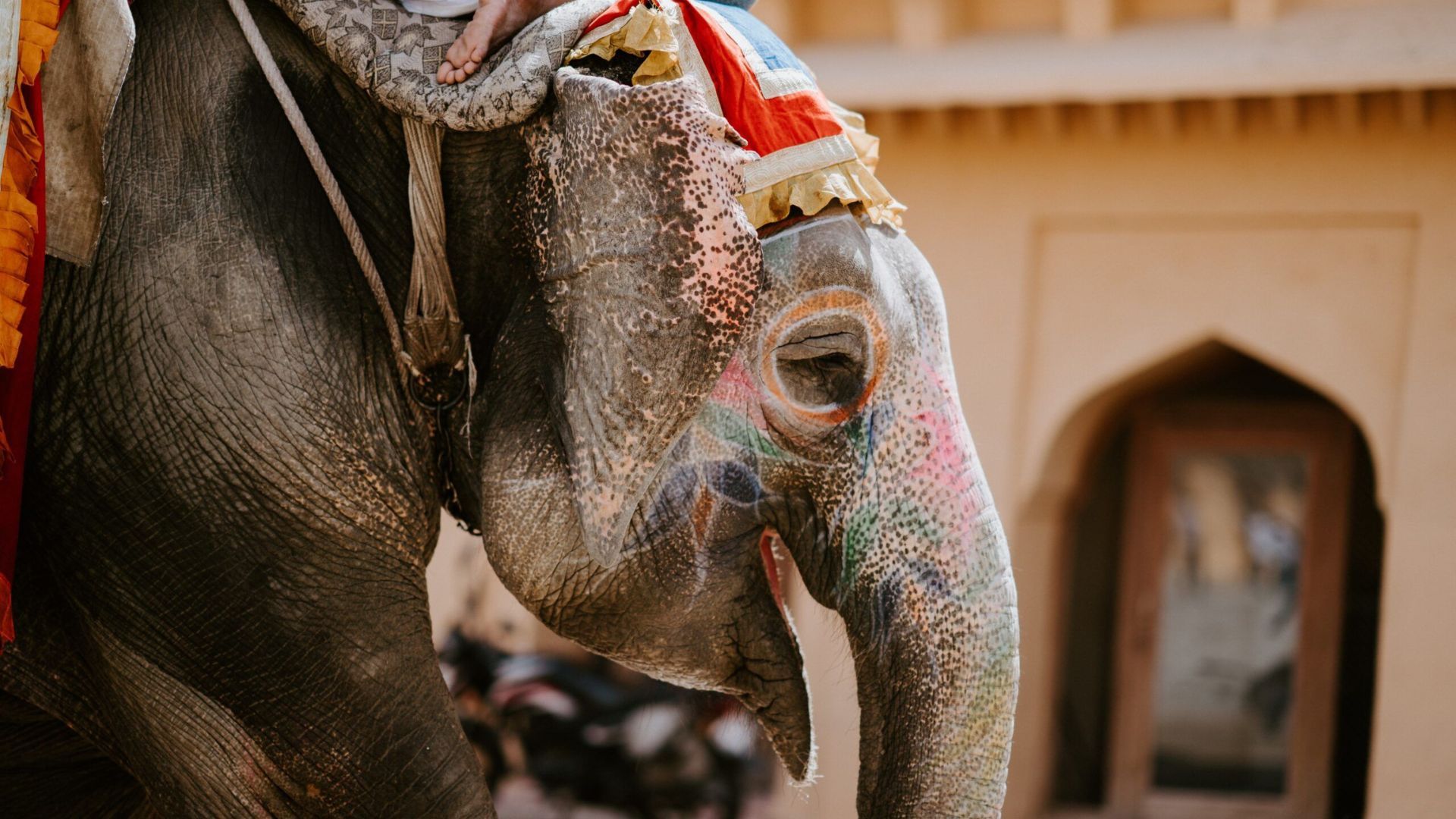 These Offbeat Places In Rajasthan Are A Must-Visit