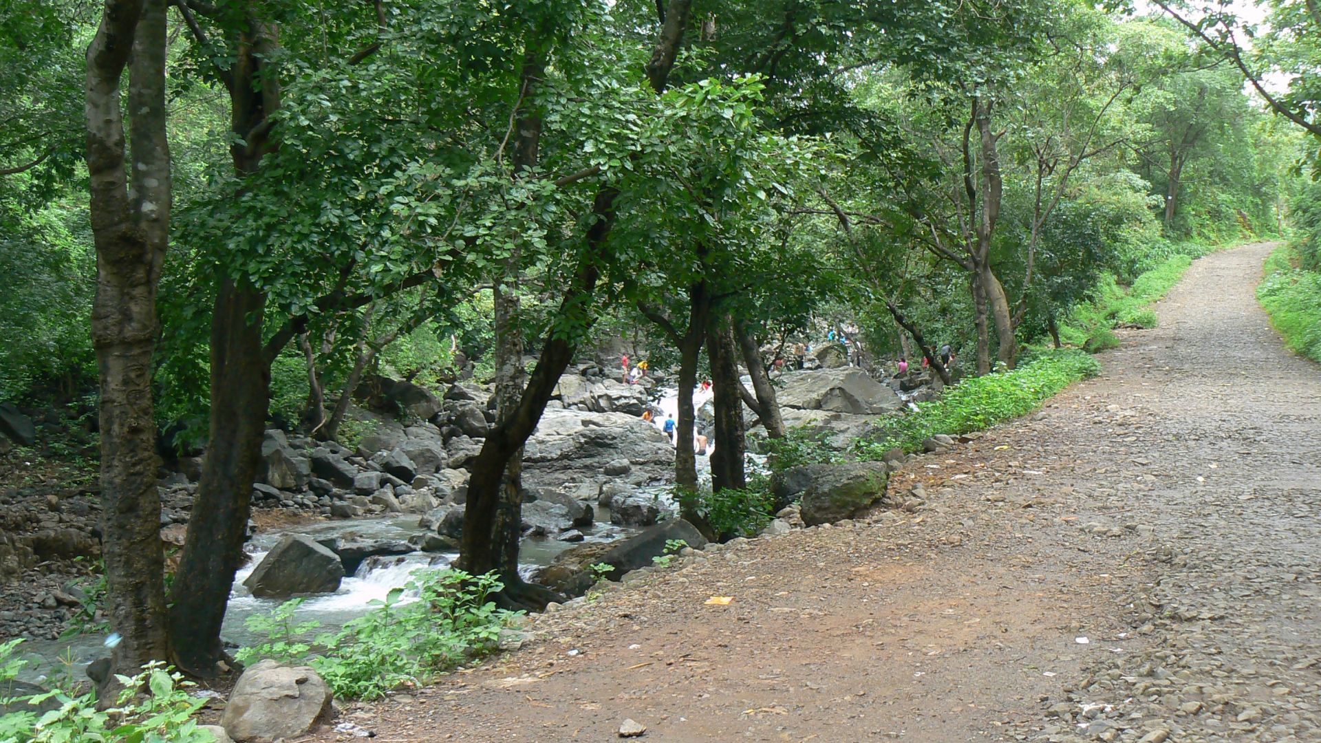 National Parks Near Mumbai For A Nature Trip Not Too Far From the City