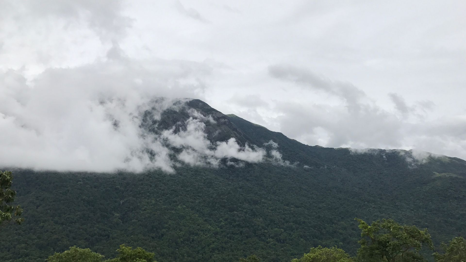 Places To Visit In Chikmagalur: From Misty Mountains To Coffee Estates