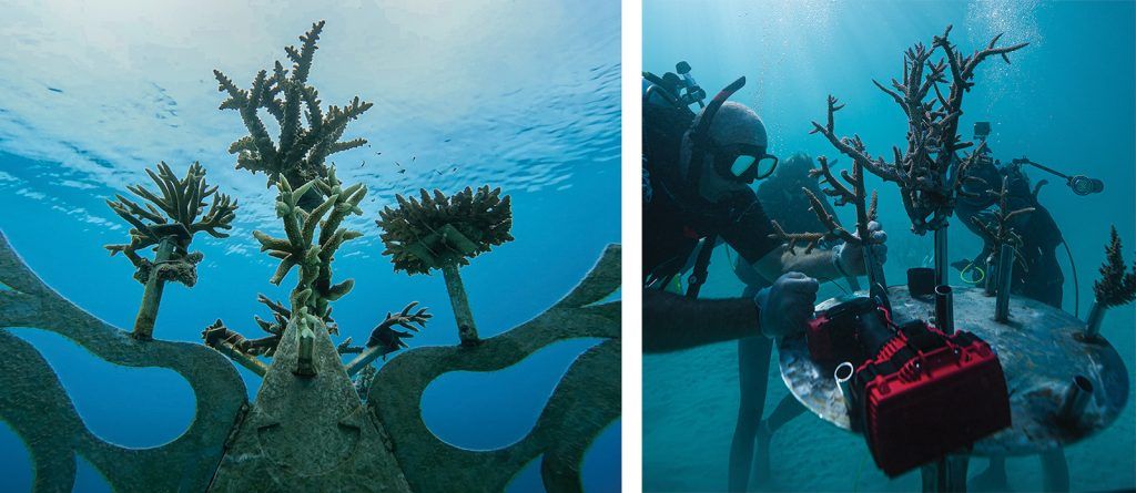 Want to Travel More Meaningfully? Here's 12 Months' of Travel Ideas