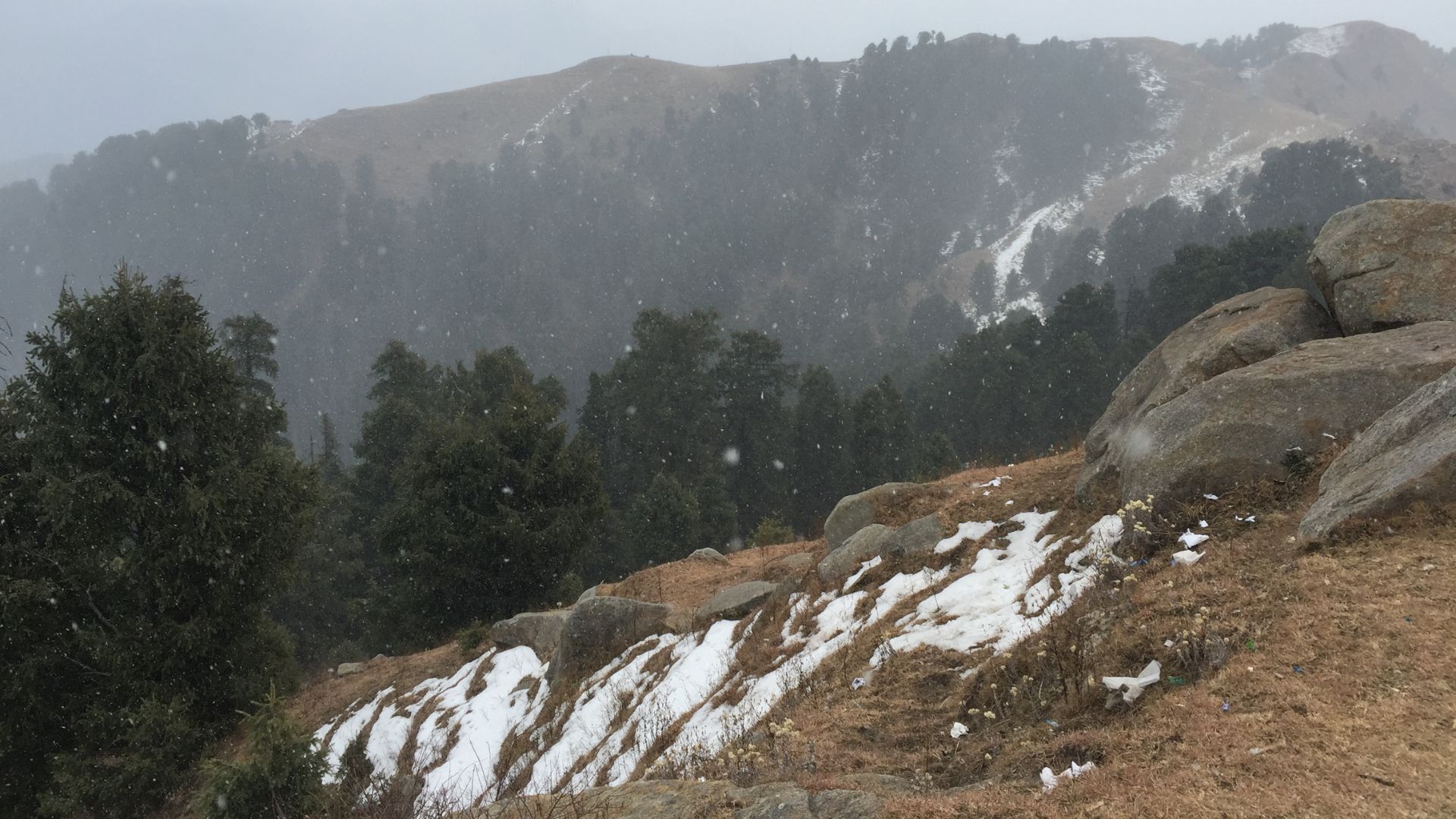 Best Places To Visit In December In India: Snowy Hills To Sunny Beaches