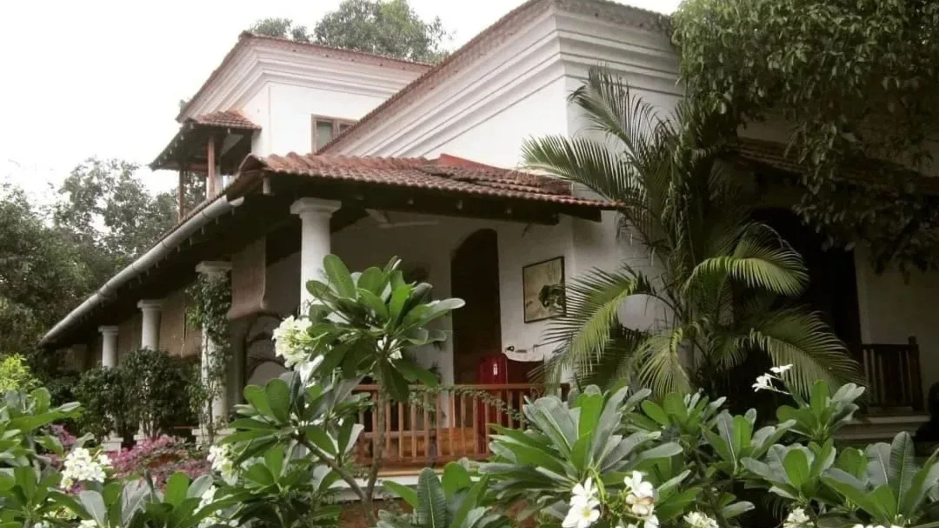 Homestays In Goa: 10 Best Local Stays To Live The Goan Life