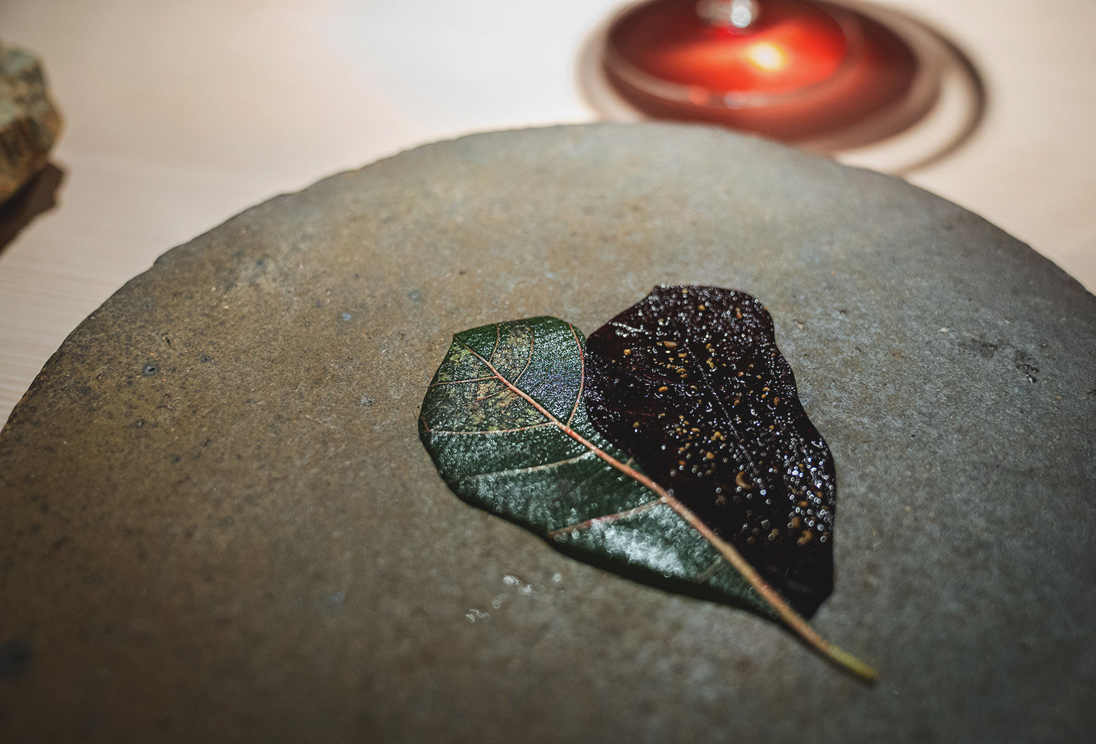 Feast Your Eyes on Our 6 Favorite Dishes from Noma’s Fall Menu in Kyoto