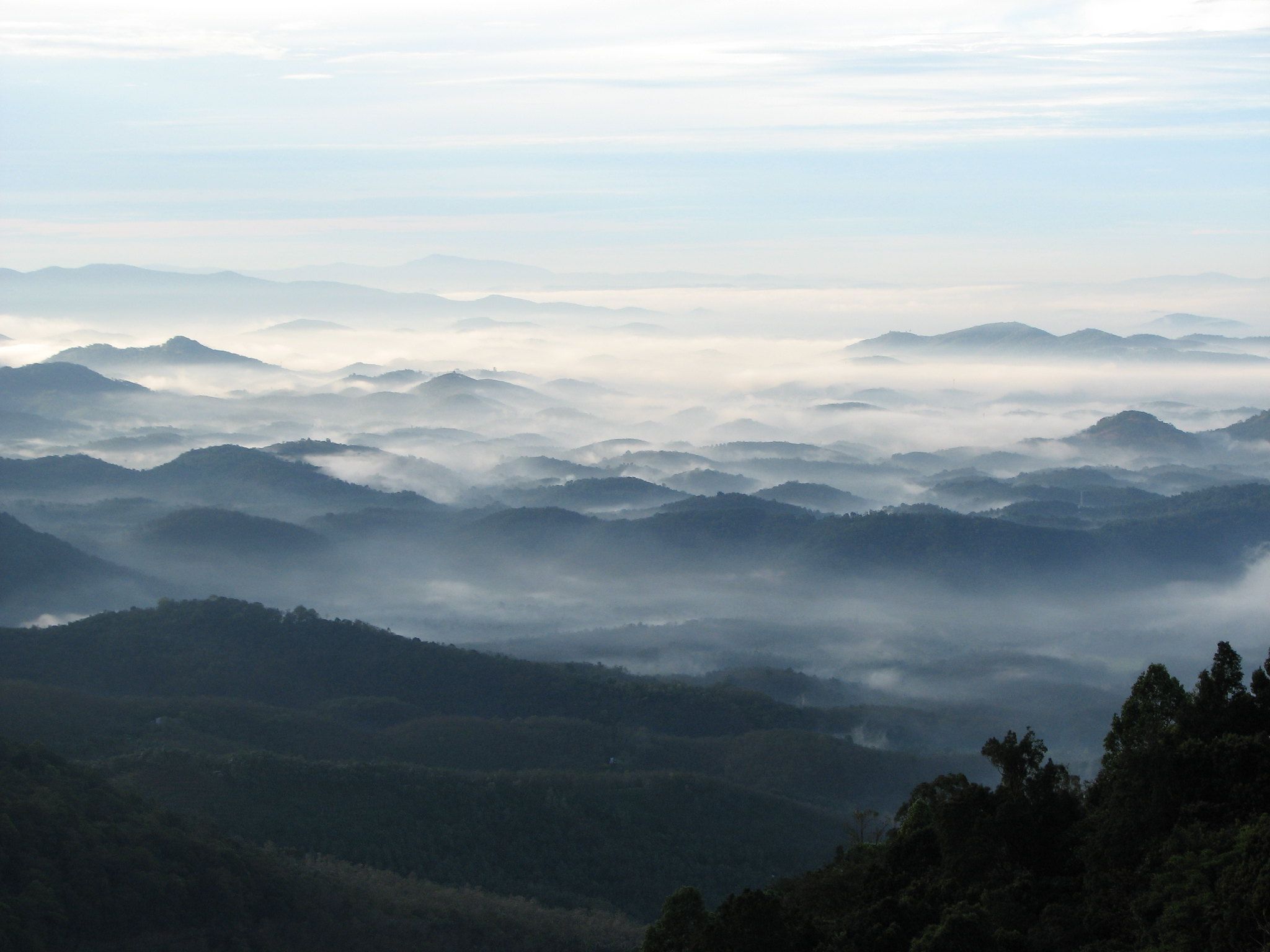 Tourist Places In Wayanad: A Traveller's Guide To The 'Ooty Of Kerala'
