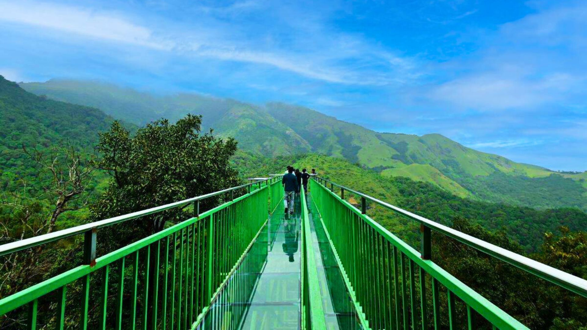 Tourist Places In Wayanad: A Traveller's Guide To The 'Ooty Of Kerala'