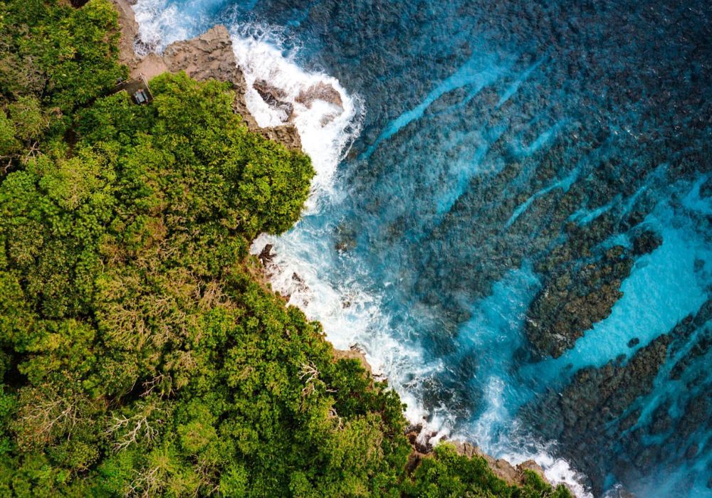 Christmas Island: Explore This Australian Paradise Of Unmatched Nature