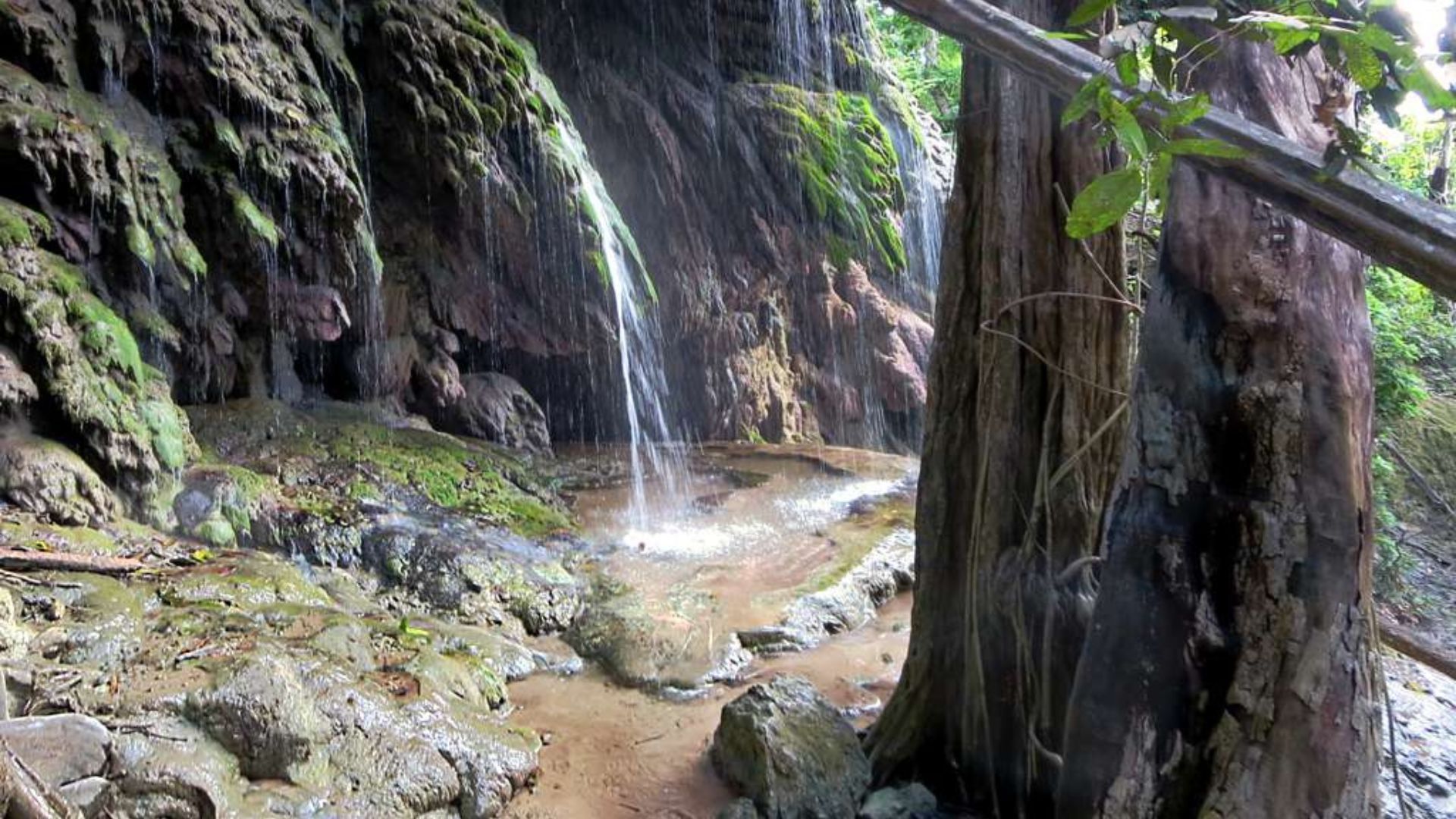 Christmas Island: Explore This Australian Paradise Of Unmatched Nature