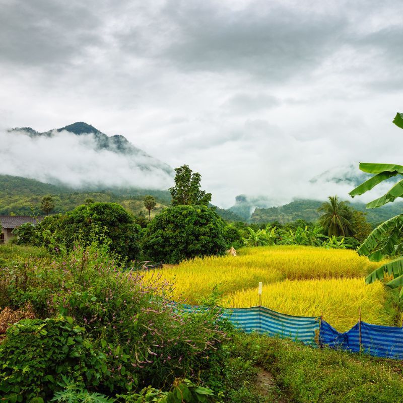 Chiang Rai Archives | Travel and Leisure Asia | Global