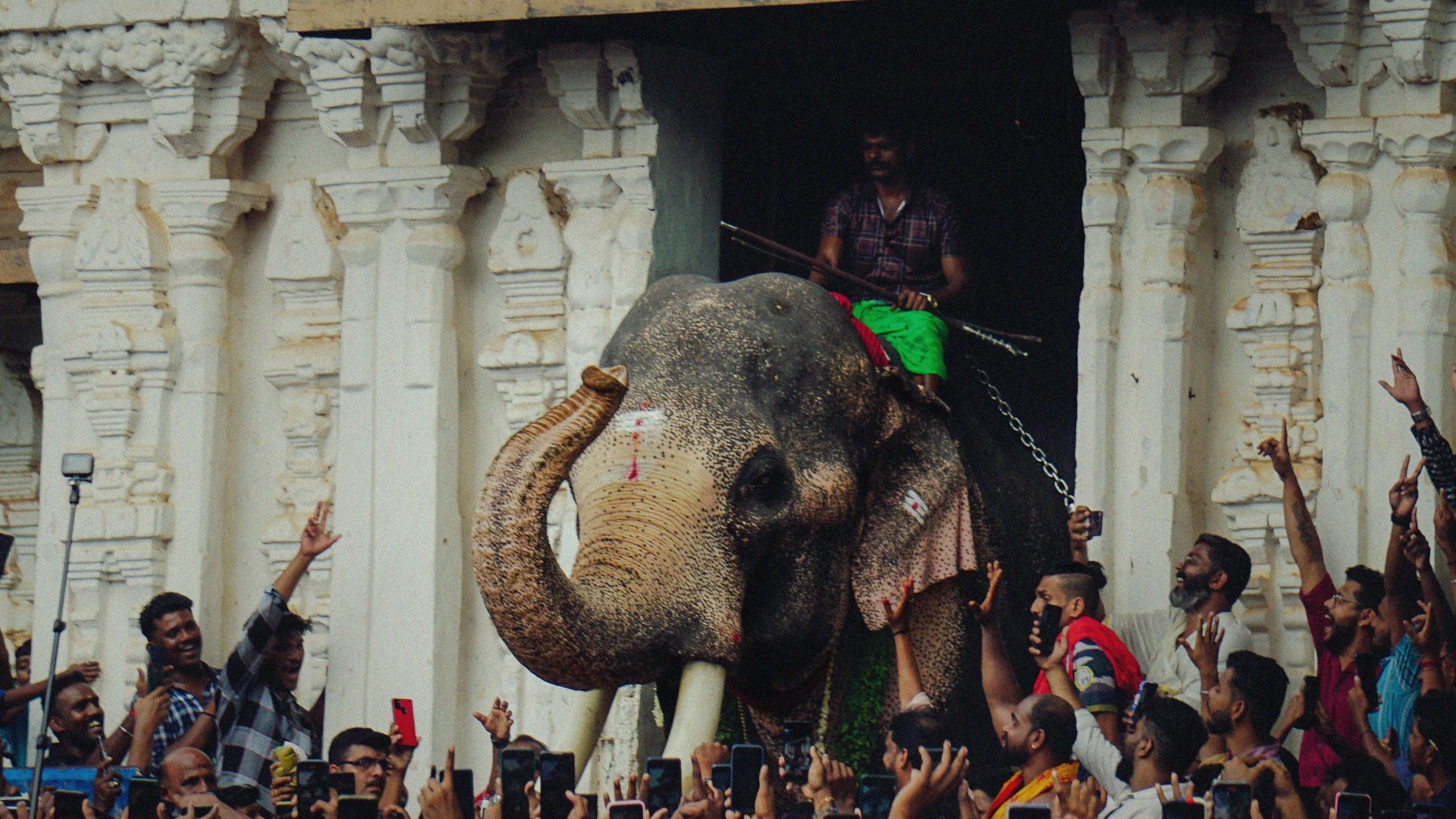 Tourist Places In Thrissur: Best Spots To Visit In Kerala's Cultural Capital