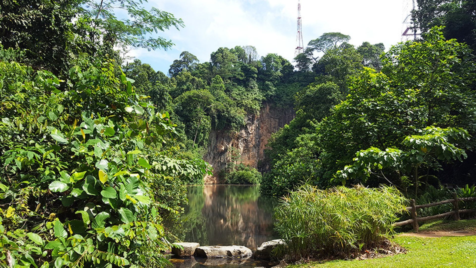 Spring Hikes In Singapore: Top 10 Scenic Trails For Nature Lovers