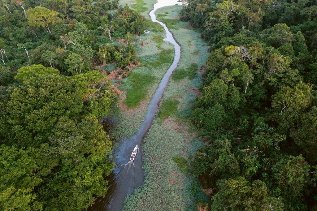 Tracking Pink Dolphins in the Amazon's Flood Plains