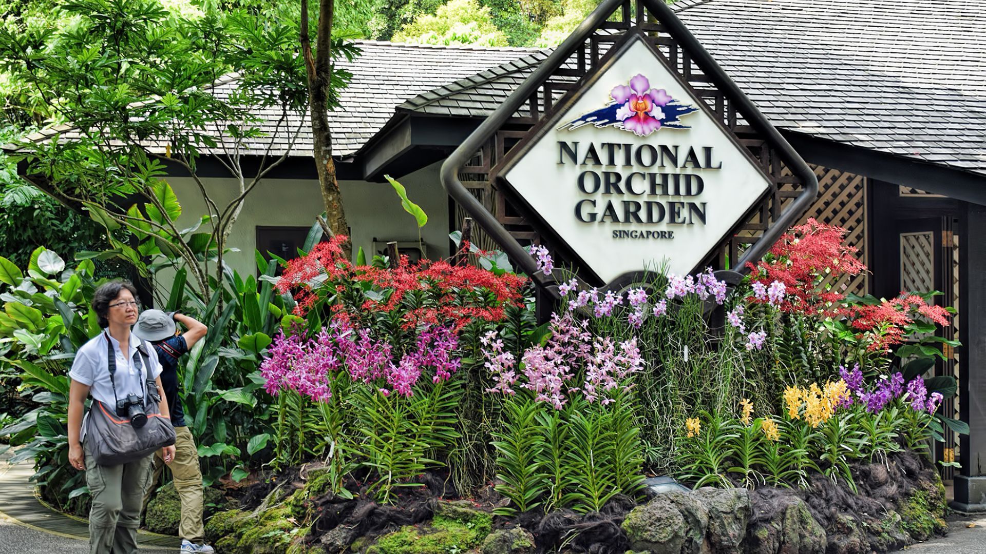 Singapore Botanic Gardens: All The Fun Attractions To Branch Out On