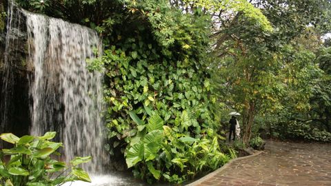 Singapore Botanic Gardens: All The Fun Attractions To Branch Out On