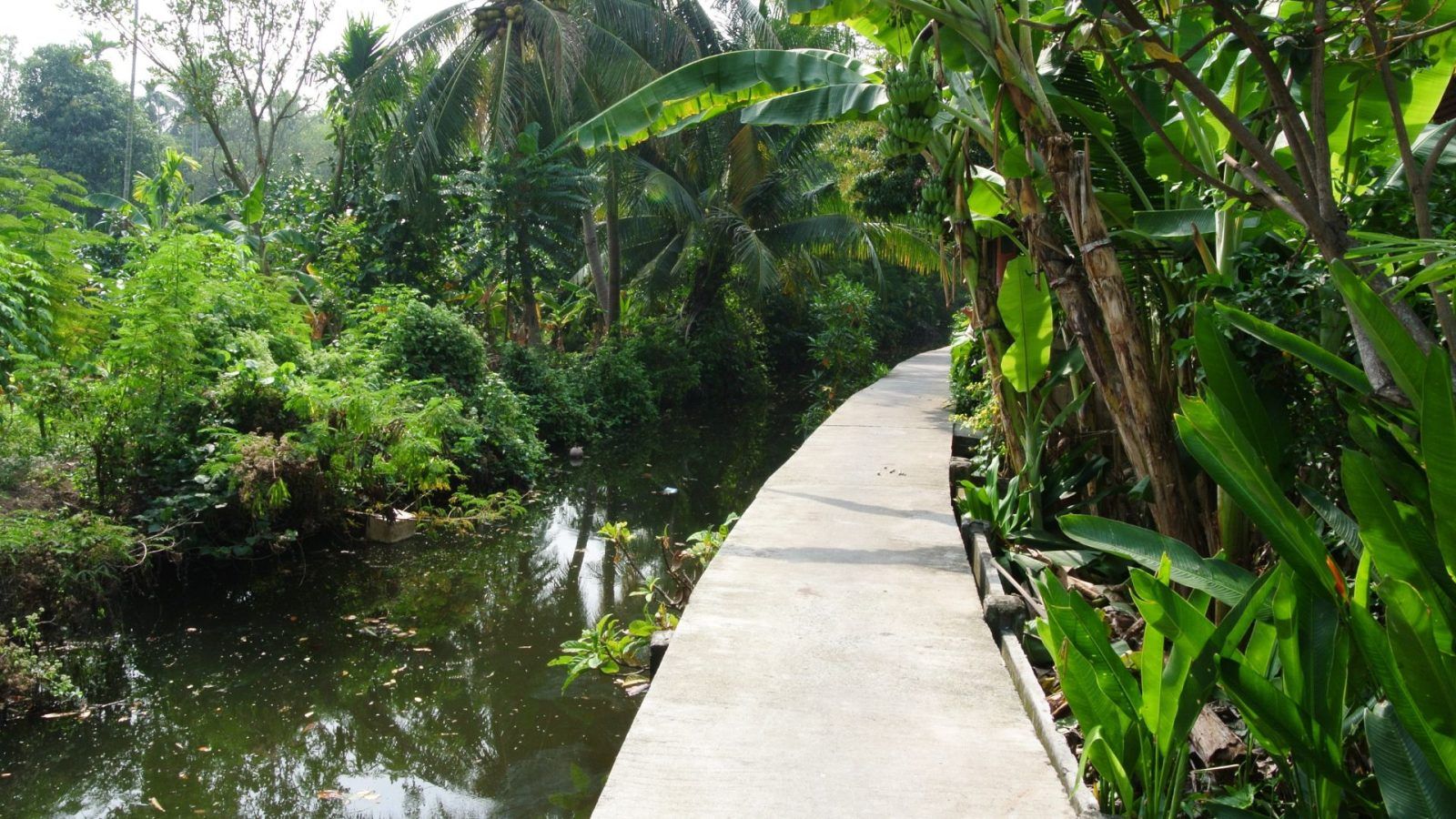 The Ultimate Guide To Bang Krachao, Also Called Bangkok's Green Lung