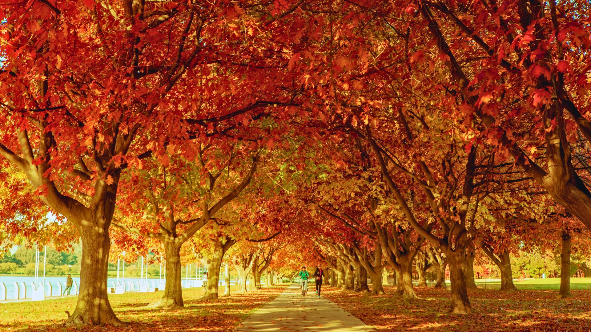 Best Time to Visit Australia: Your Travel Guide By Interest And Season