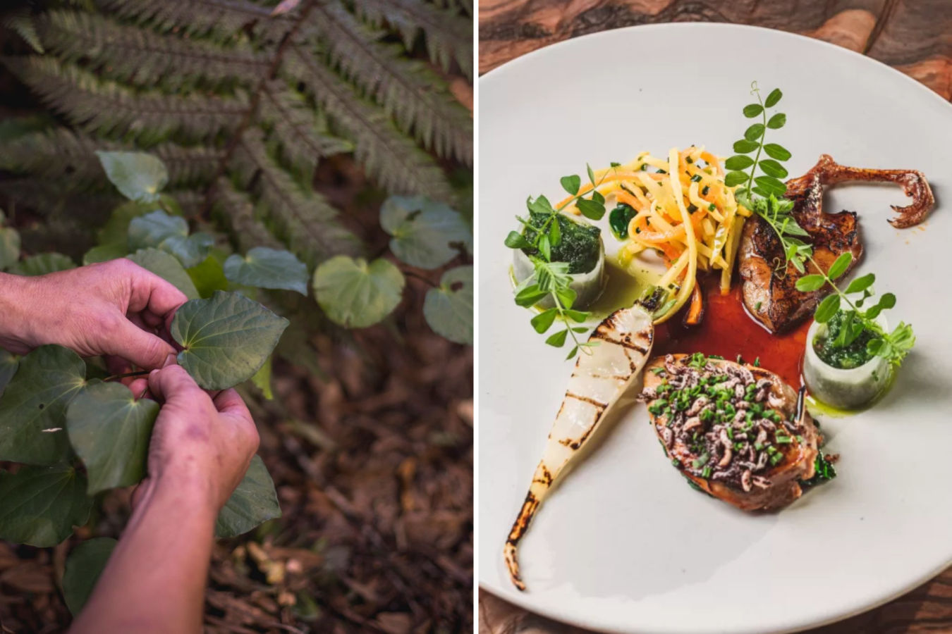 How New Zealand Chefs Are Redefining Global Fusion Cuisine
