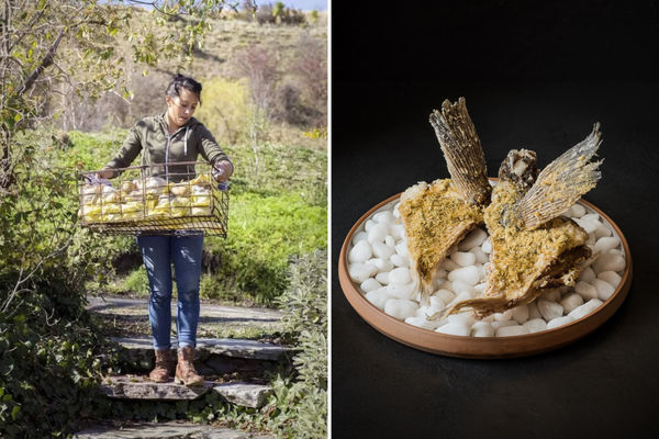 How New Zealand Chefs Are Redefining Global Fusion Cuisine